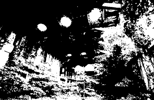 Zine: “Build the Revolution: Anarcho-Syndicalism in the 21st Century ...
